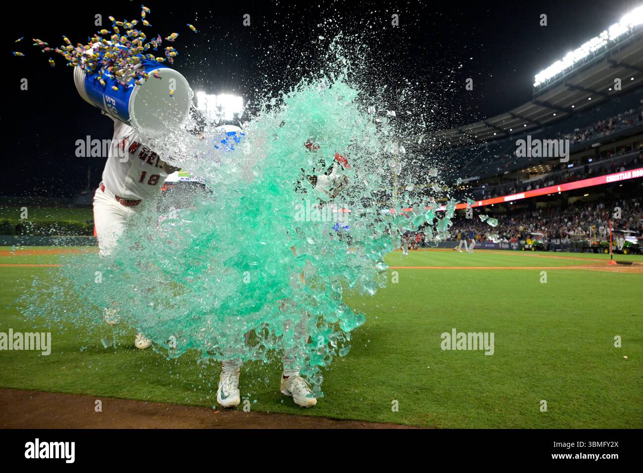 Los Angeles Angels' Nolan Schanuel (18) and Angels' Logan O'Hoppe dump ...