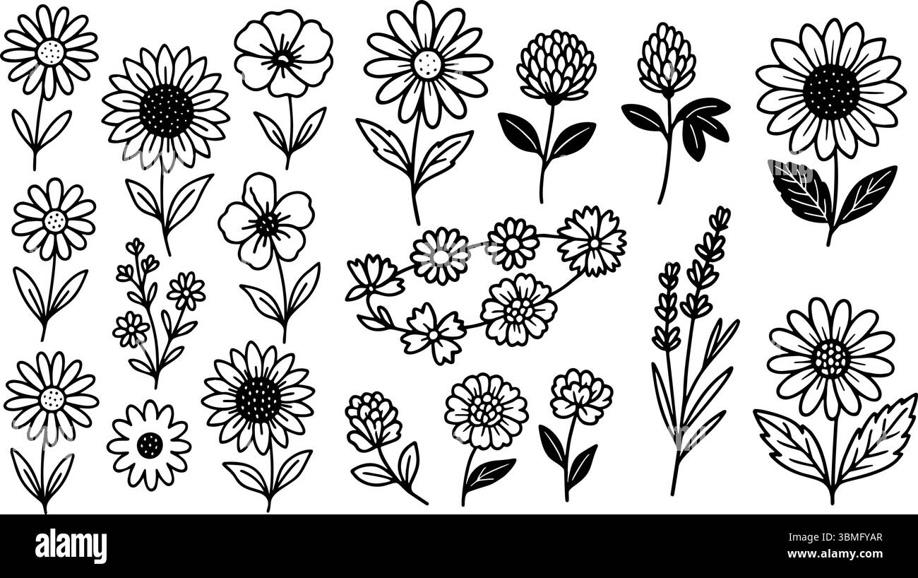 Images sunflower Black and White Stock Photos & Images - Alamy