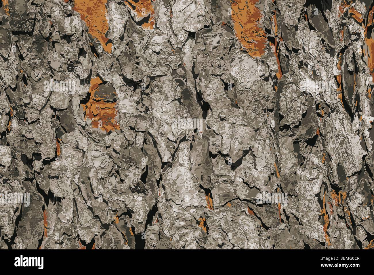 Vector illustration of Rowan bark close-up. The texture of the trunk of ...