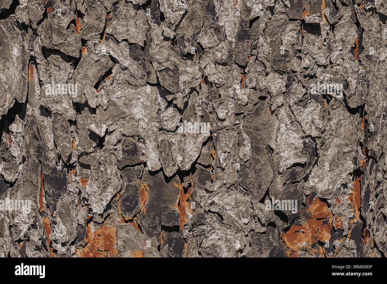 Vector illustration of Rowan bark close-up. The texture of the trunk of ...