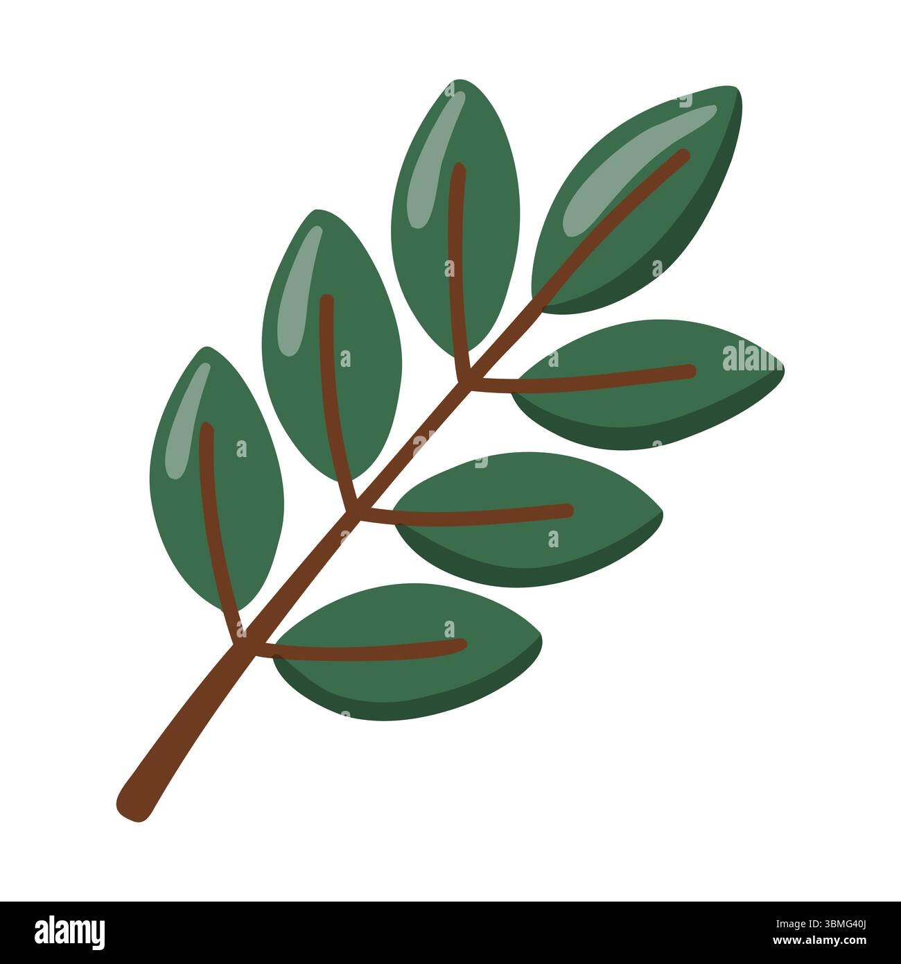 Autumn branch with dark green oval leaves and brown stem. Decorative ...