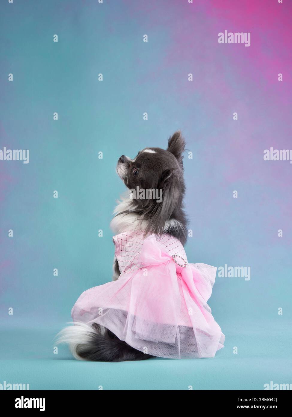 Elegantly dressed princess hi-res stock photography and images - Alamy