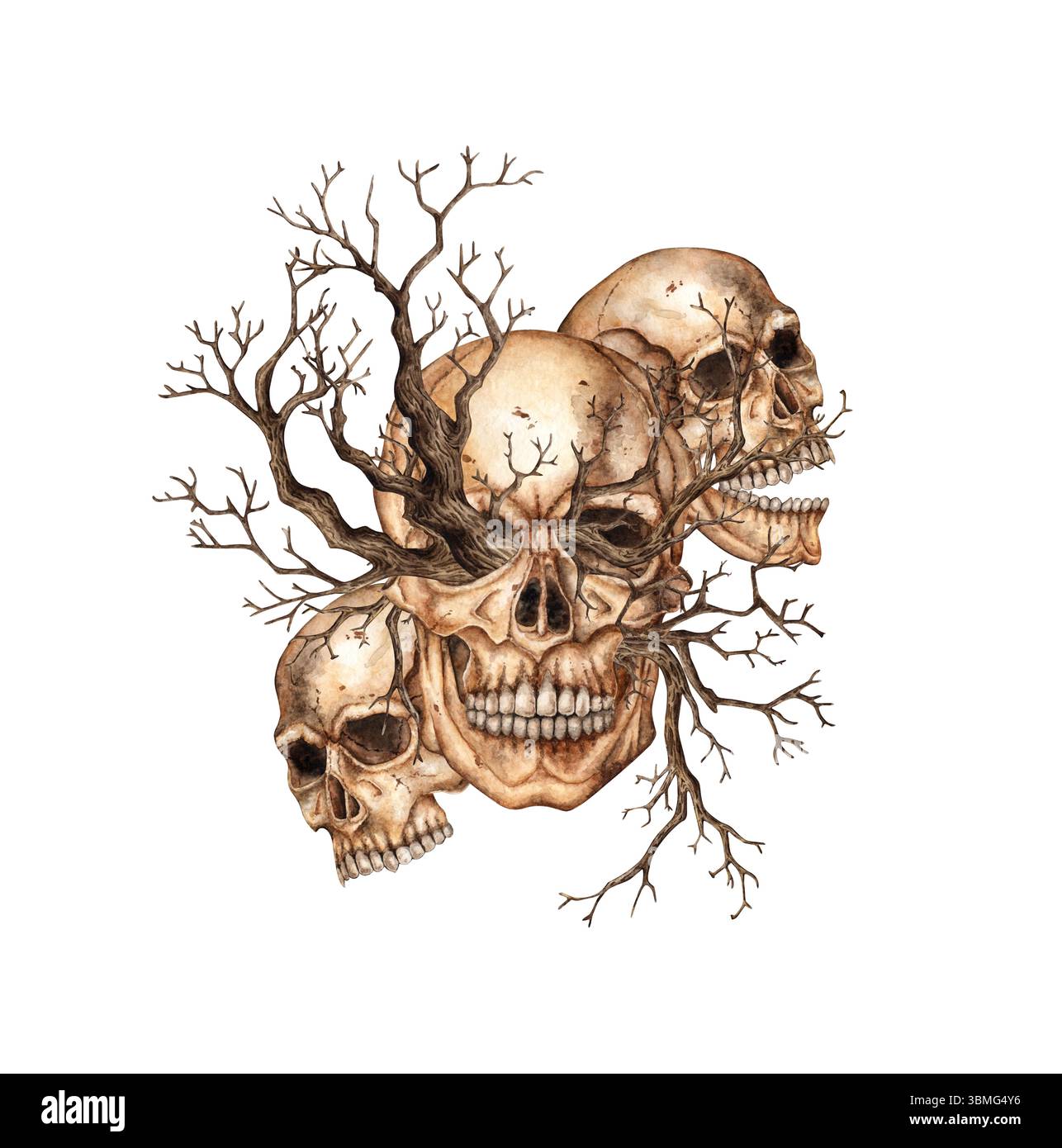 Human skulls three with dry tree branches watercolor illustration ...