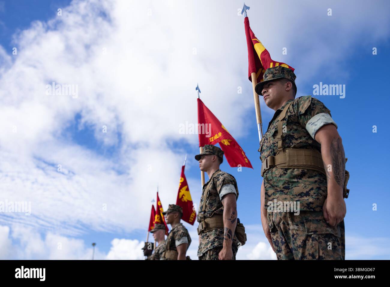 Peter eltringham hi-res stock photography and images - Alamy