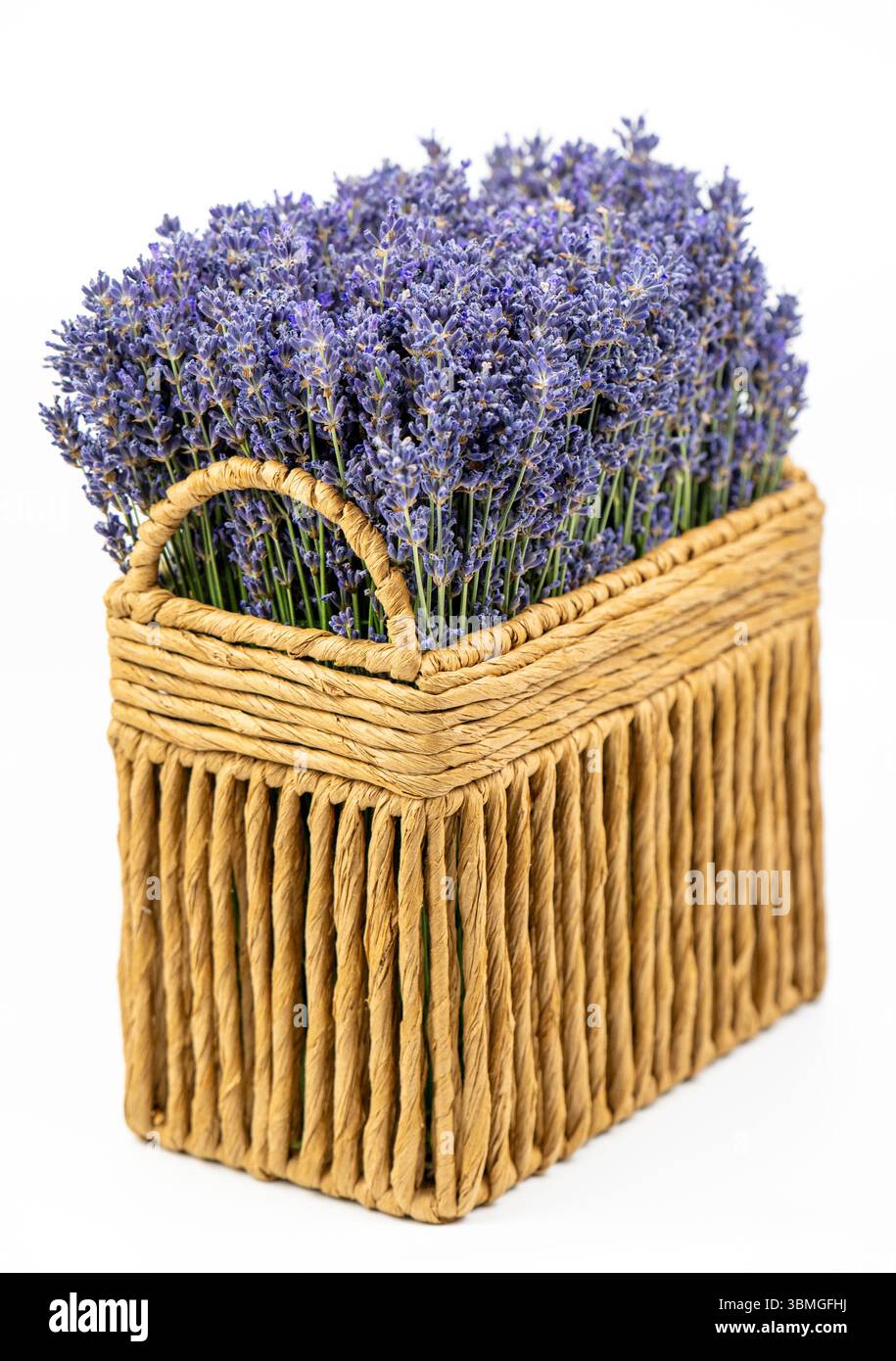 Fresh lavender flowers in a rectangular wicker basket isolated on white ...