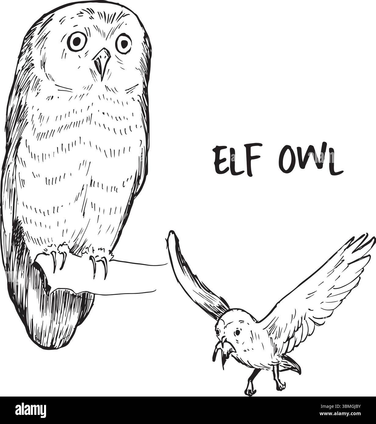 Smallest and lightest Stock Vector Images - Alamy