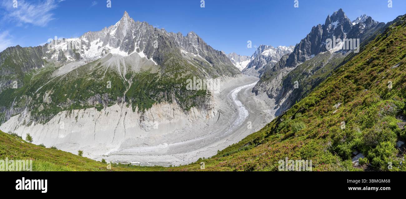 Panorama, Picturesque mountain landscape with blooming alpine roses ...