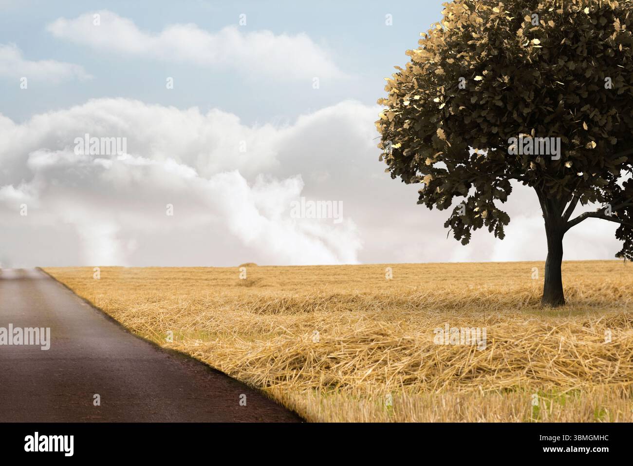 Road leading out to the horizon Stock Photo - Alamy