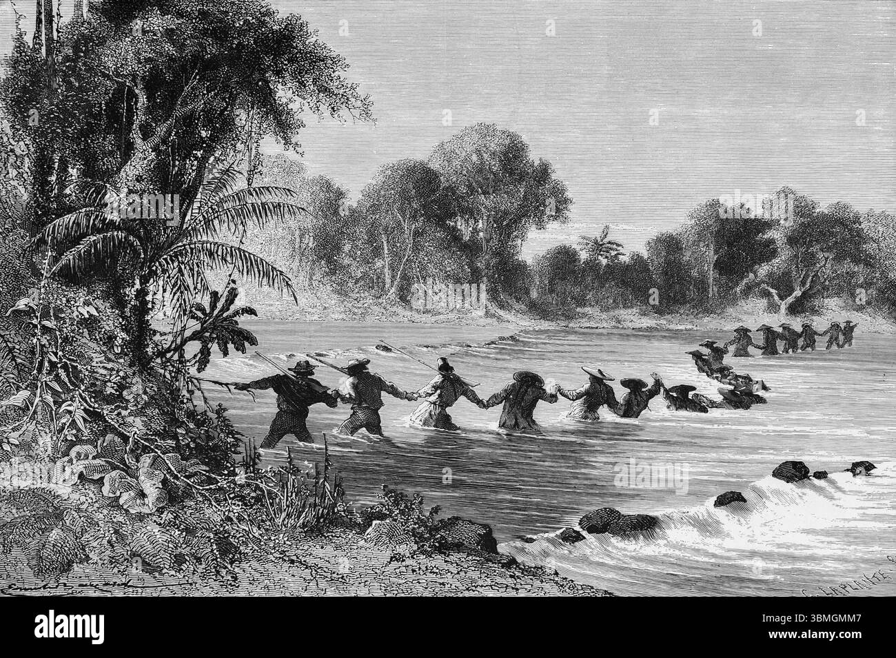 River in the amazon Black and White Stock Photos & Images - Alamy