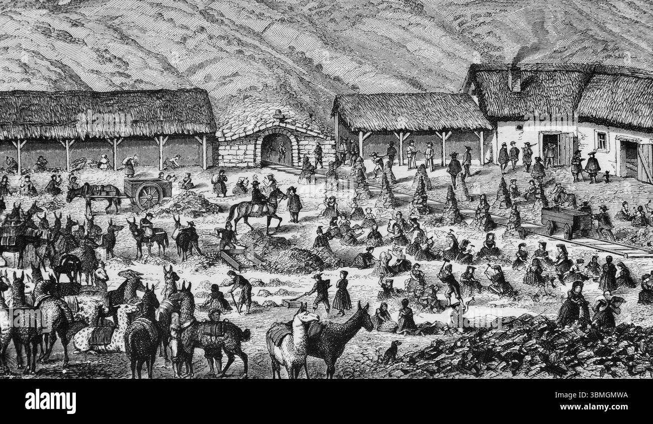 Mine in North Chile, mining of mineral resources, lorry, tracks, shaft ...