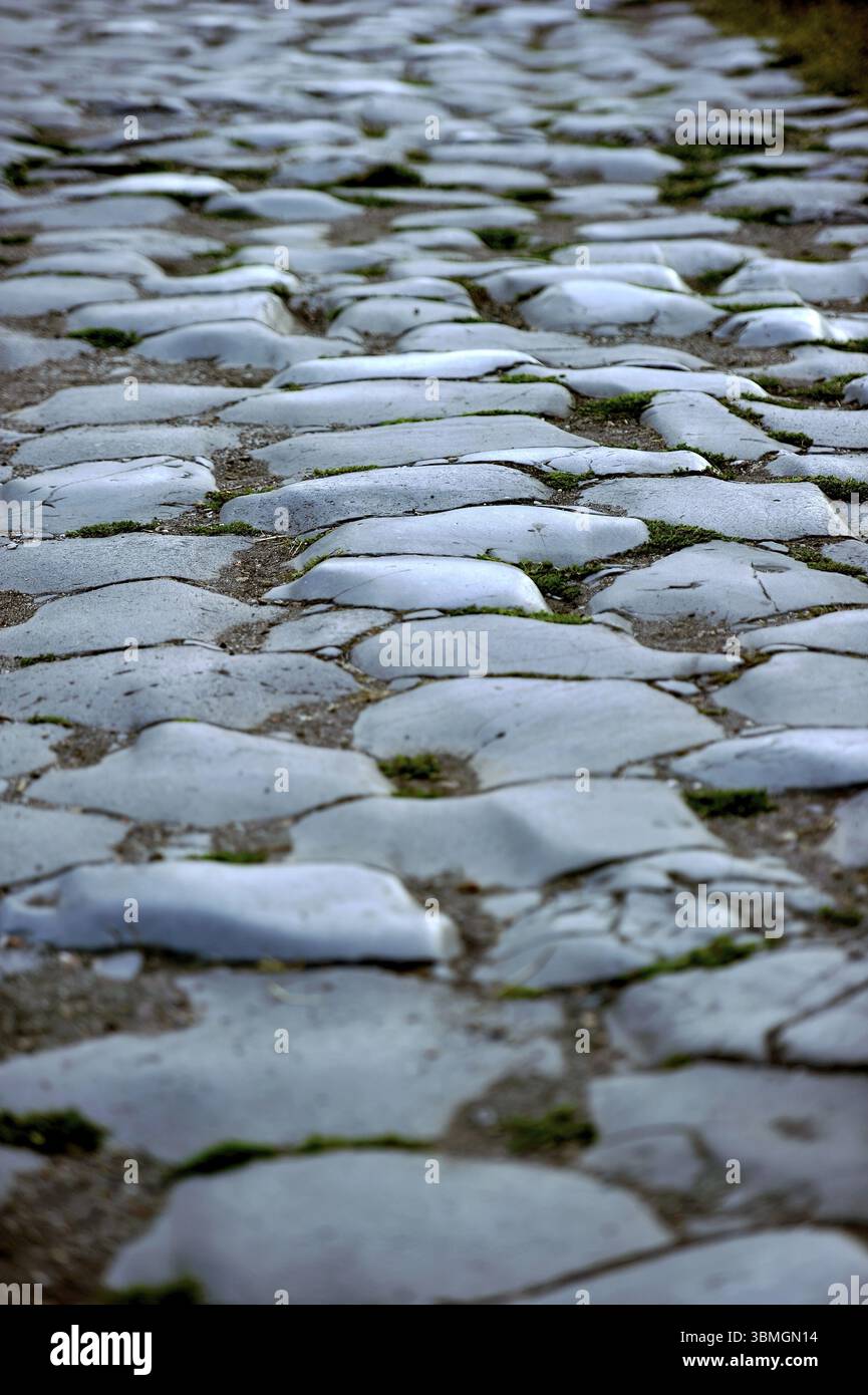 Ancient pavement of the main street Decumano Massimo, large paving ...