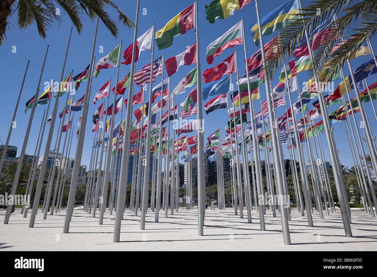 Flags, Flags of the countries of the world, Flag square, Doha Qatar, Orient, Middle East Stock ...