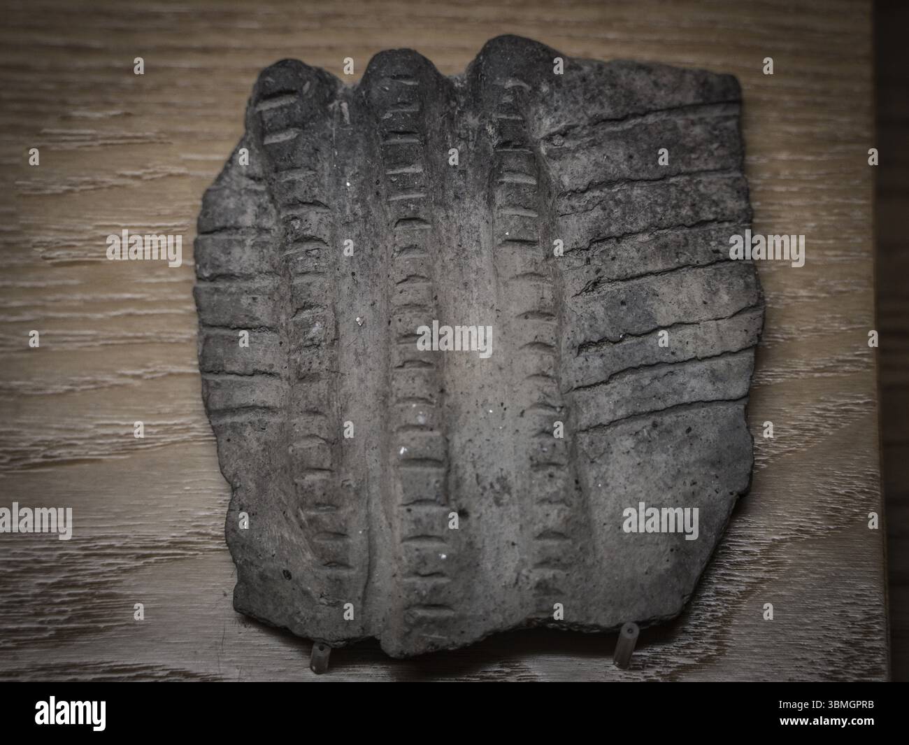 Neolithic pottery hi-res stock photography and images - Alamy