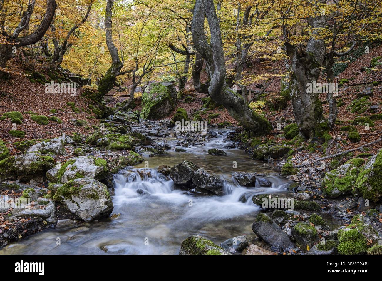 Cinera de Gordon, Leon, Spain, Europe Stock Photo - Alamy