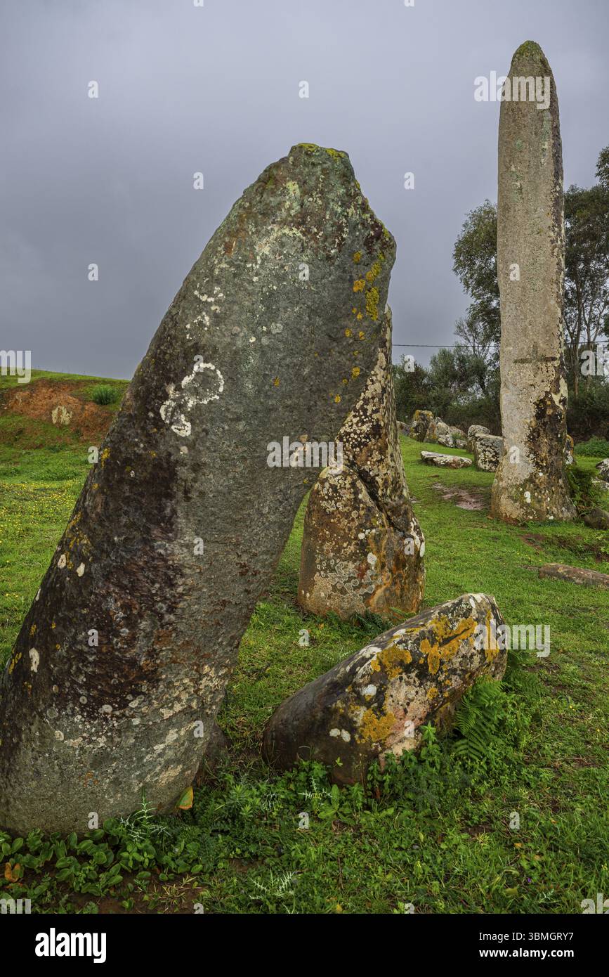 M'zora cromlech and menhir, megalithic enclosure, Middle Neolithic ...