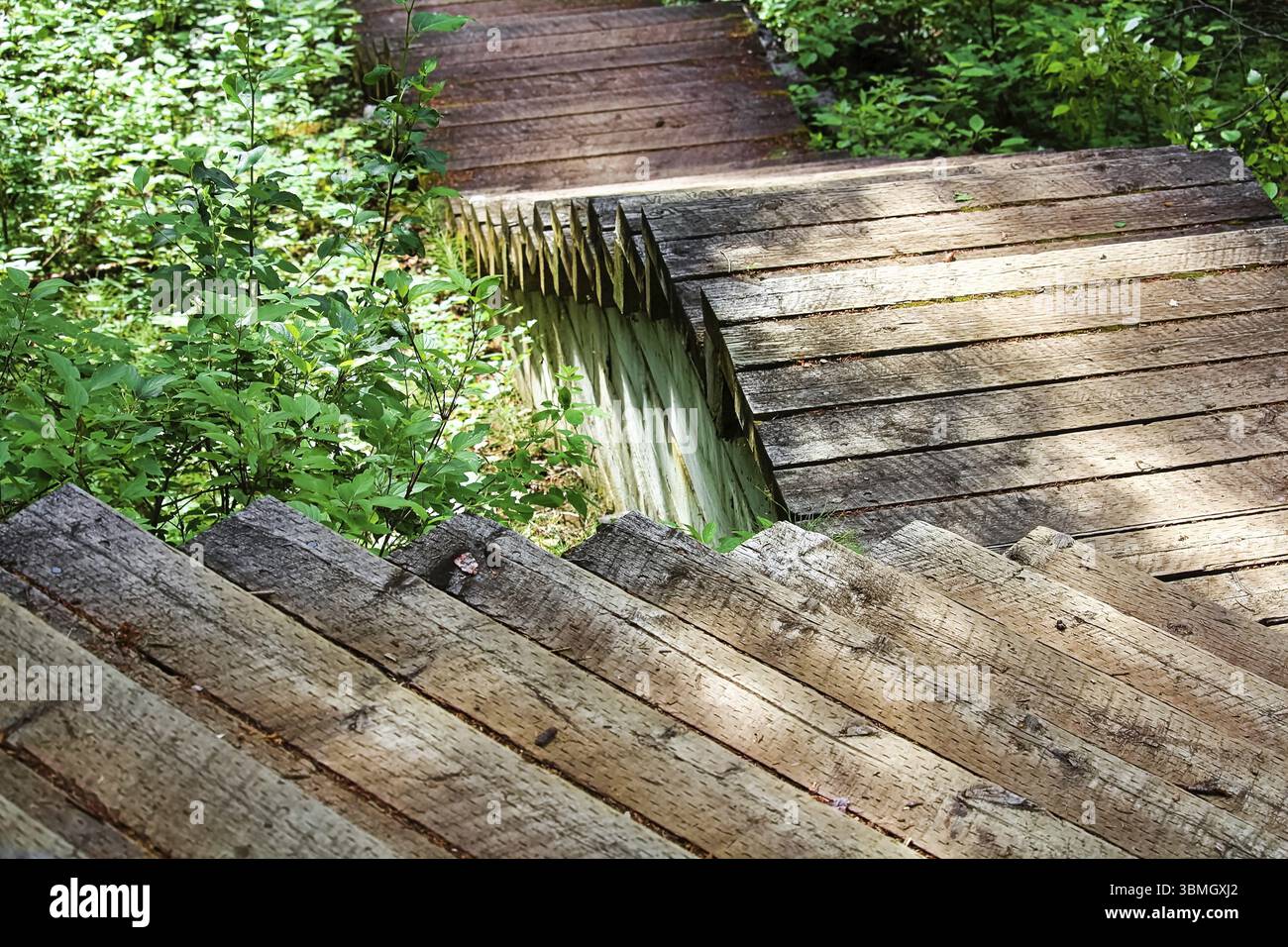 Walking on wooden stair trail hi-res stock photography and images - Alamy