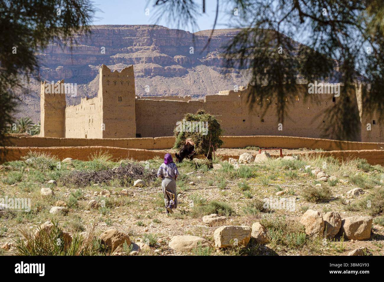 Mud and adobe architecture, Ifri kasbah, Ziz river valley, Atlas ...