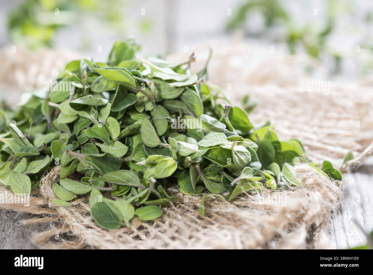 Portion fresh oregano detailed hi-res stock photography and images - Alamy