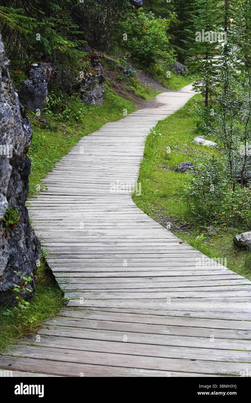 Curved wooden path hi-res stock photography and images - Alamy