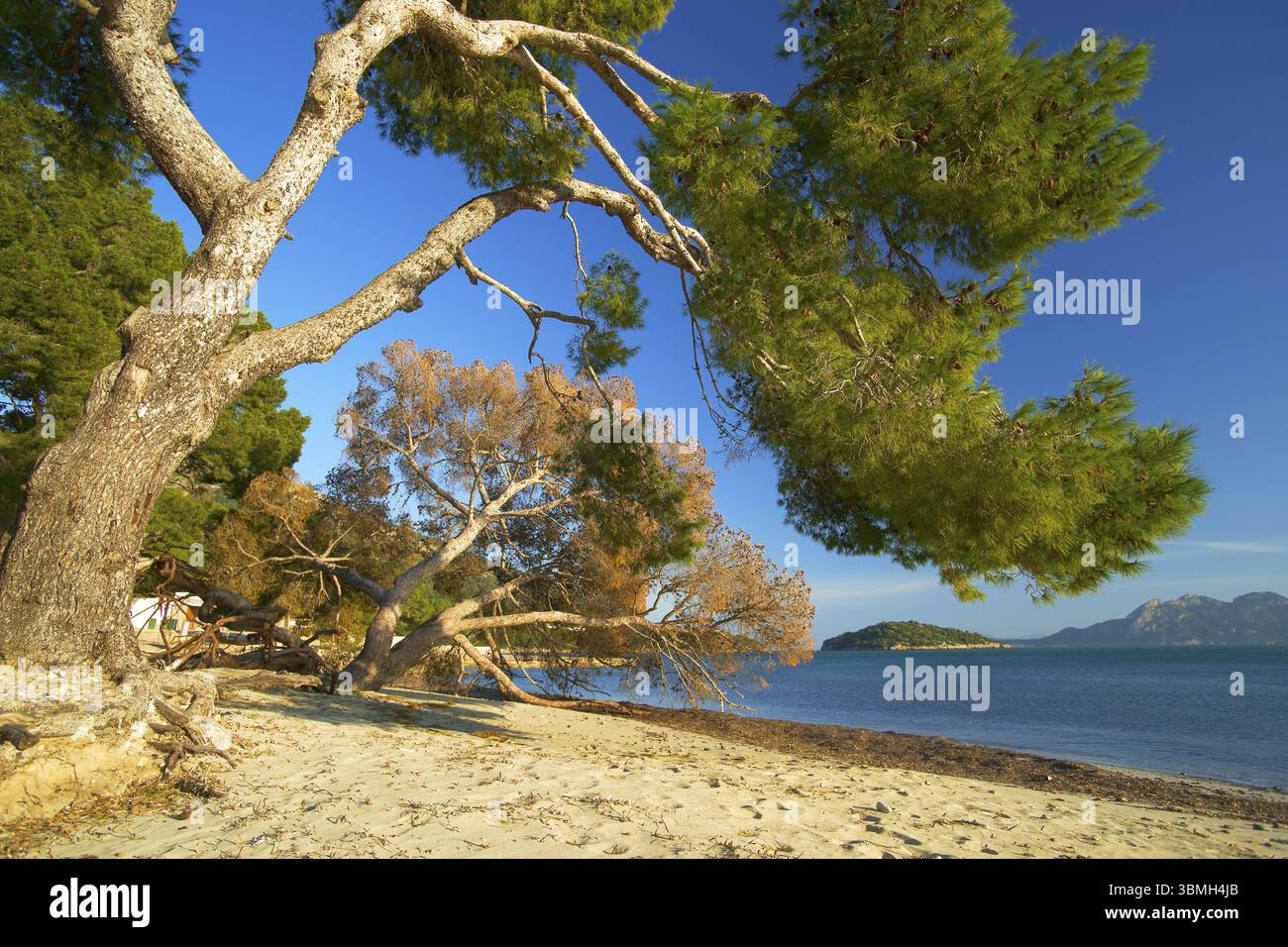 Formentor Port and Beach. Pollenca. Formentor Peninsula. Mallorca ...