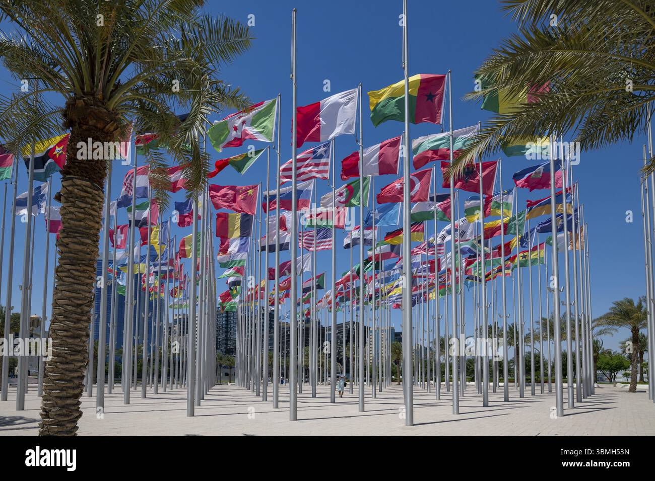 Flags, Flags of the countries of the world, Flag square, Doha Qatar ...