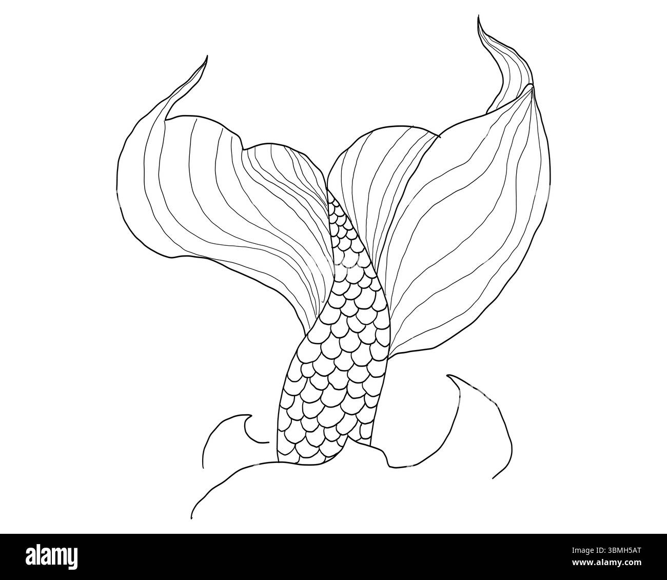 Fairy tail black line hi-res stock photography and images - Alamy