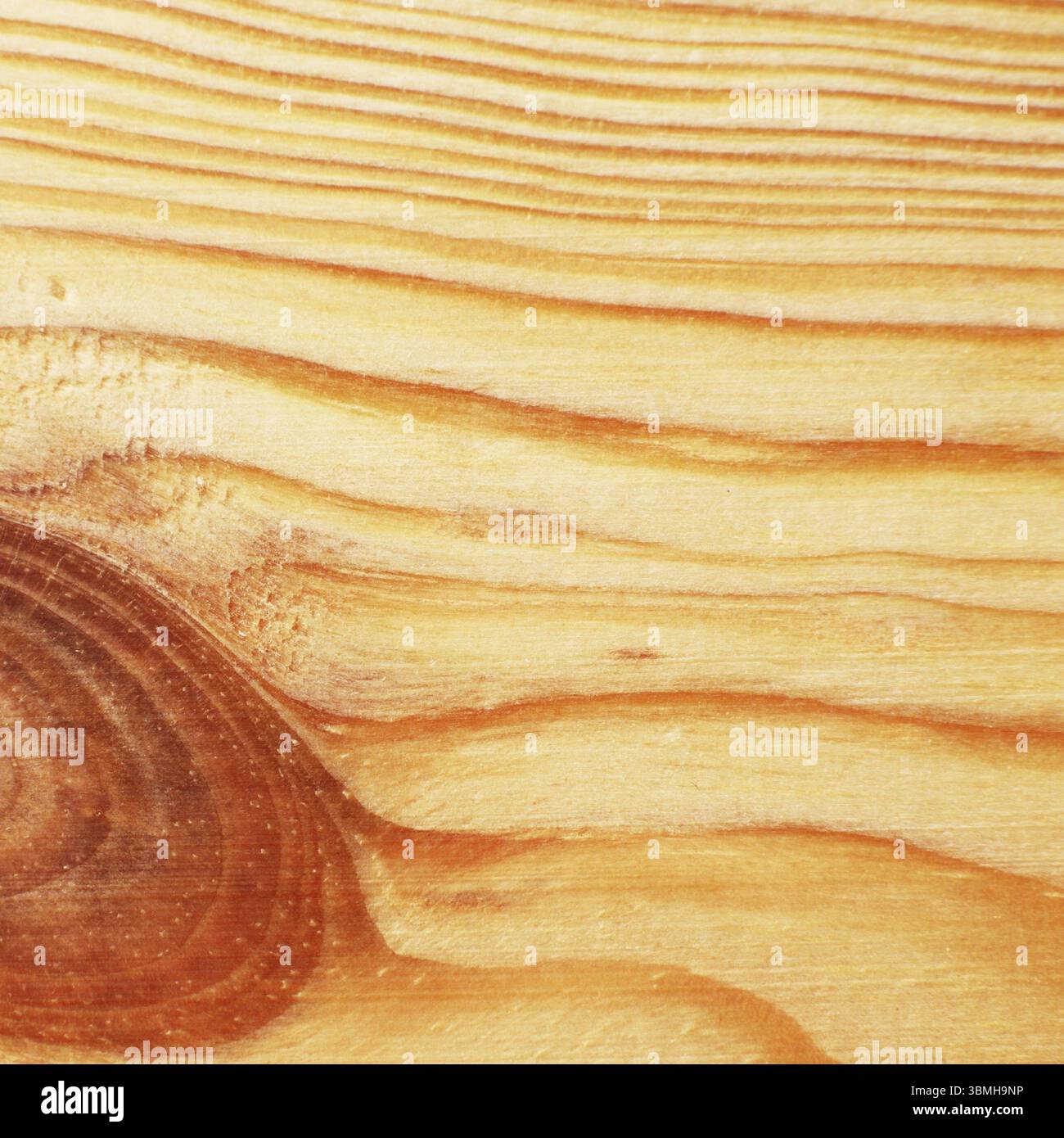Knotty pine cut natural wood texture, Sumy, Ukraine, Europe Stock Photo ...
