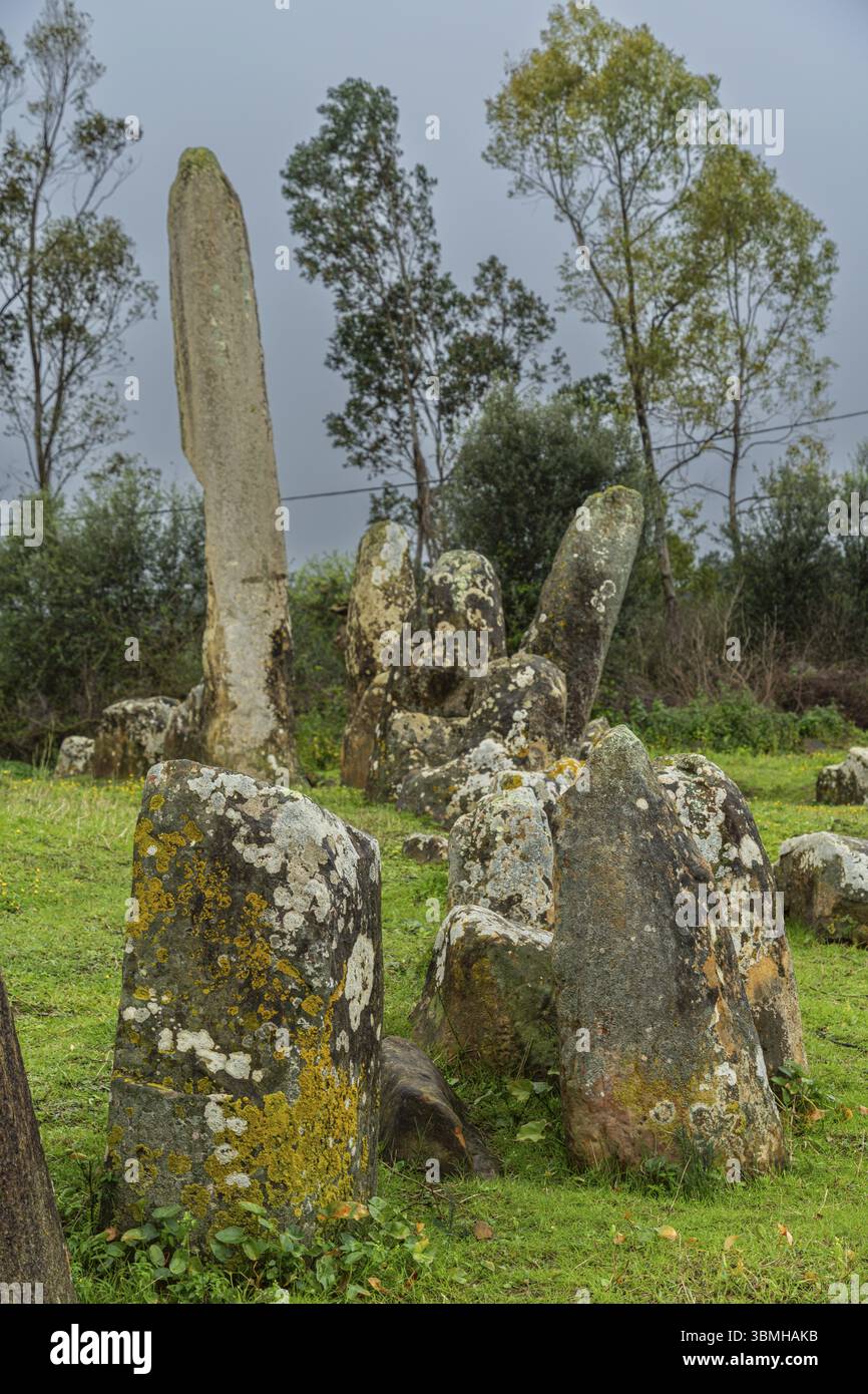M'zora cromlech and menhir, megalithic enclosure, Middle Neolithic ...