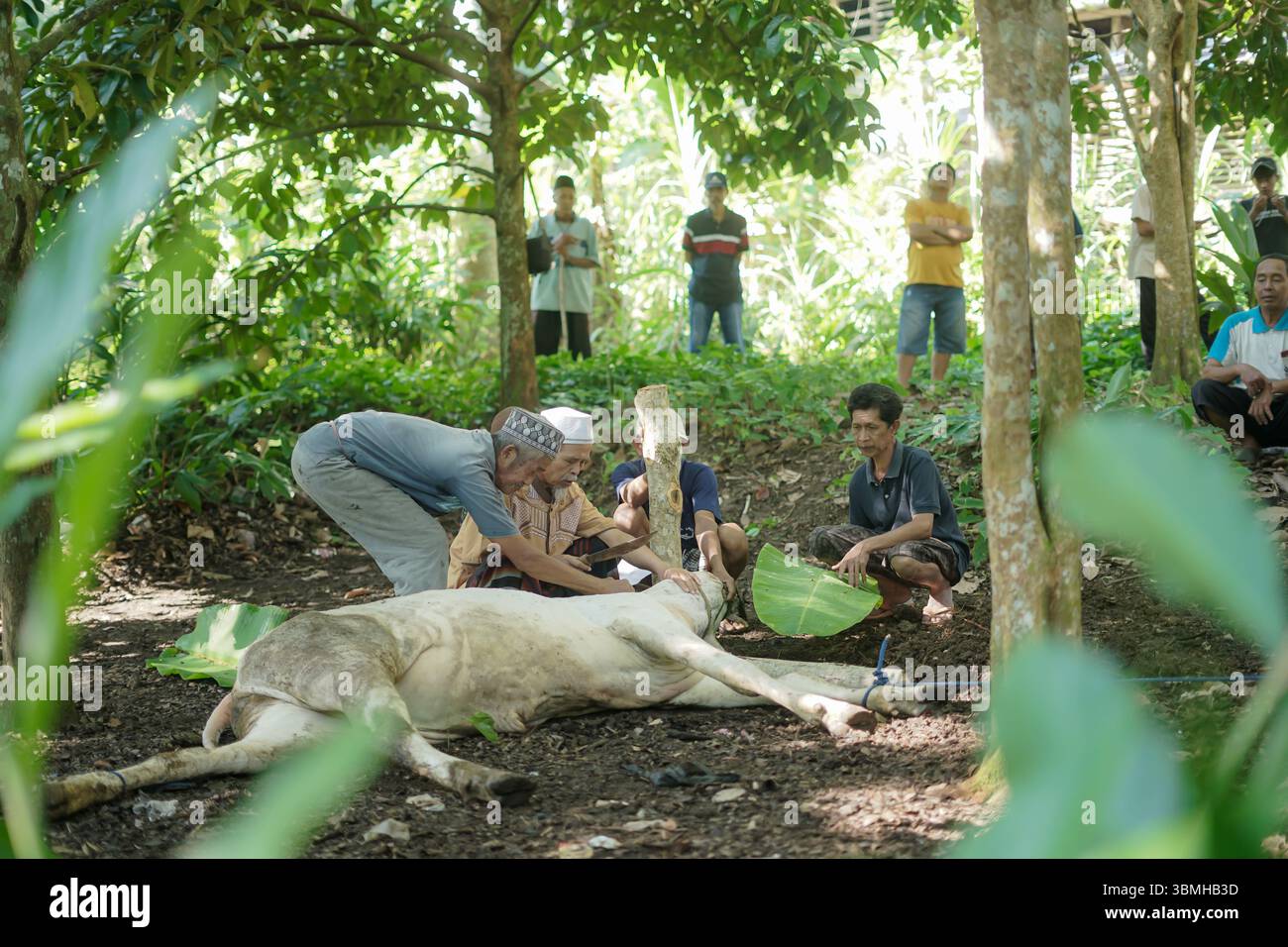 CIANJUR, INDONESIA - JUNE 17 2024. Indonesian Muslims help each other ...