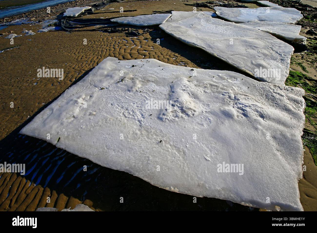 The winter sea ice Stock Photo - Alamy