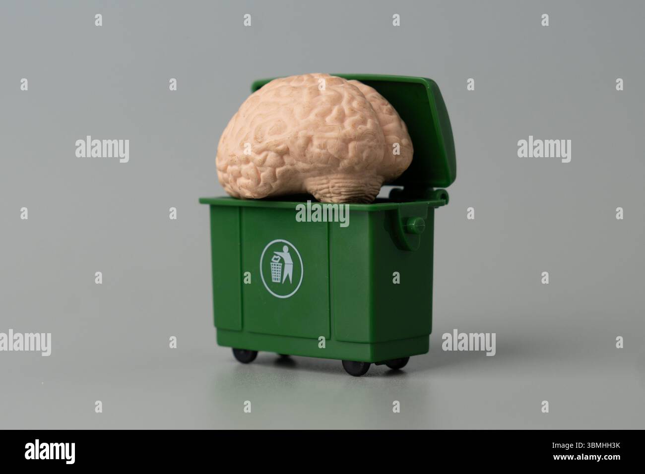 Human brain model placed hi-res stock photography and images - Alamy