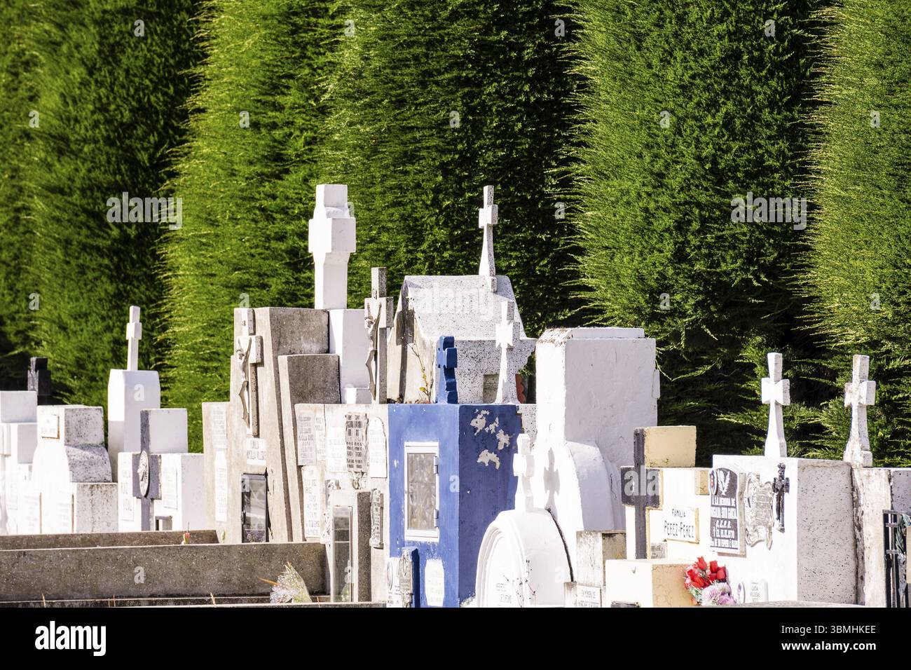 Sara Braun Municipal Cemetery, 1894, Punta Arenas -Sandy Point ...