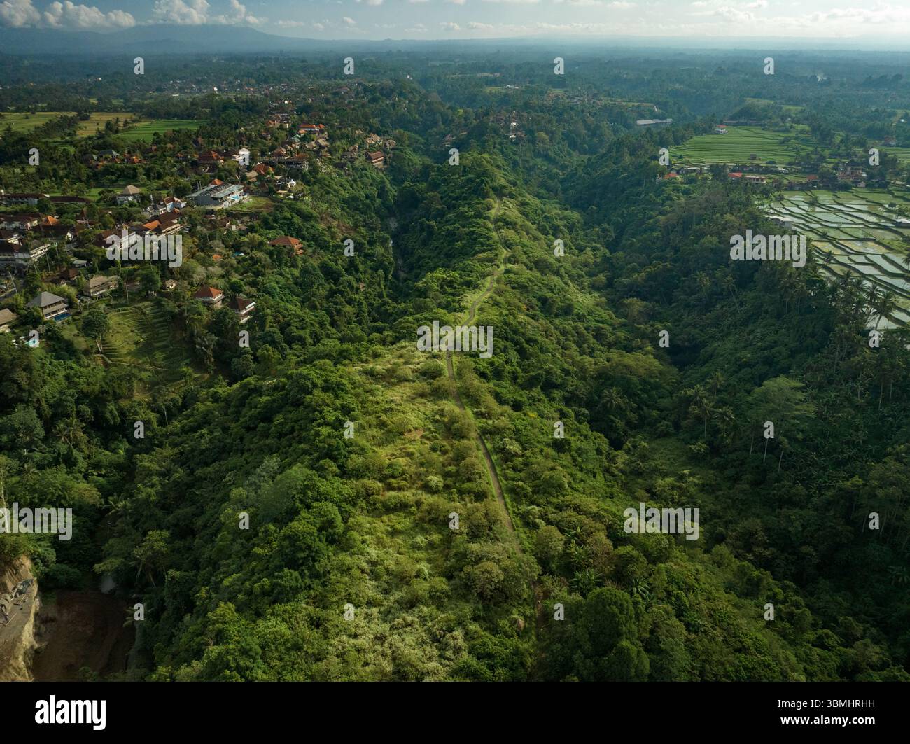 Aerial view of artist trail in Ubud, Bali. Campuhan ridge walk Stock ...