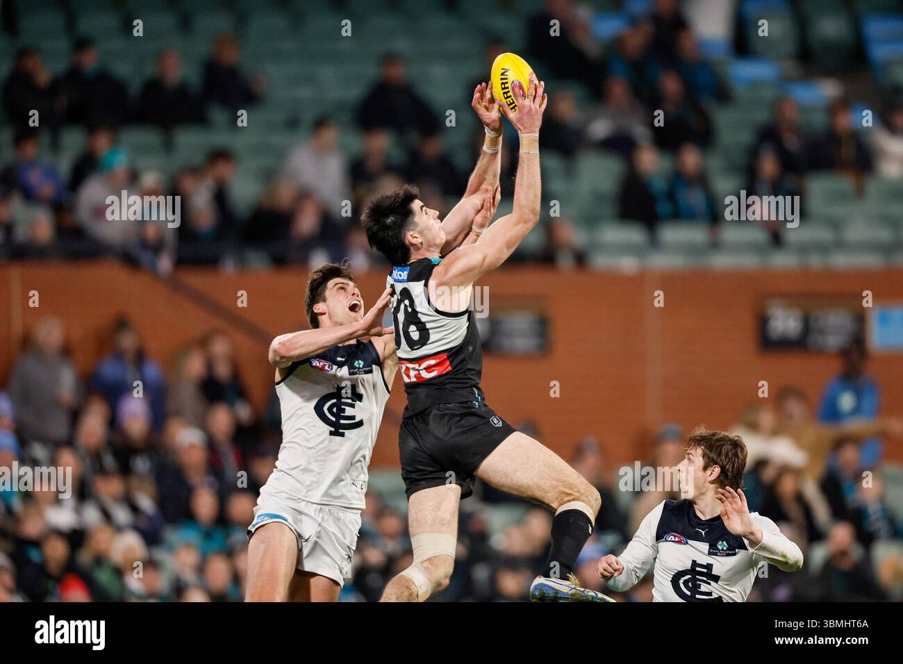 Adelaide is the best hi-res stock photography and images - Alamy