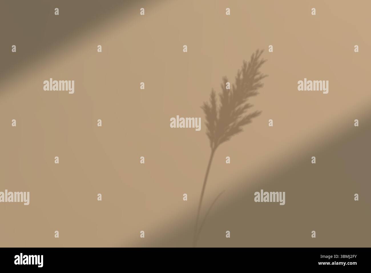 Delicate plant shadow cast on beige wall by warm directional sunlight ...