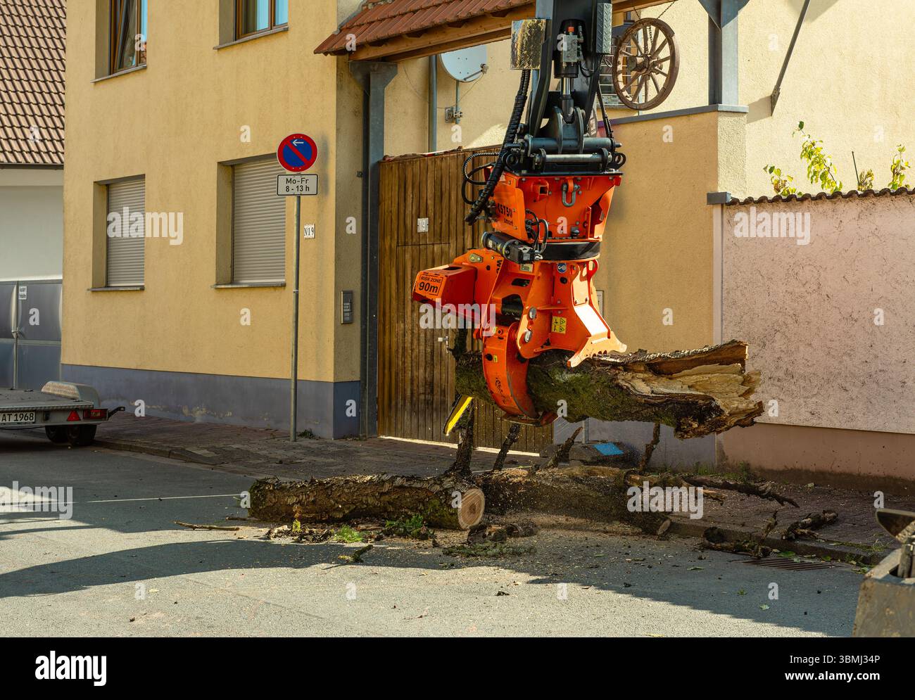 Removal of a fallen tree after a storm Stock Photo - Alamy