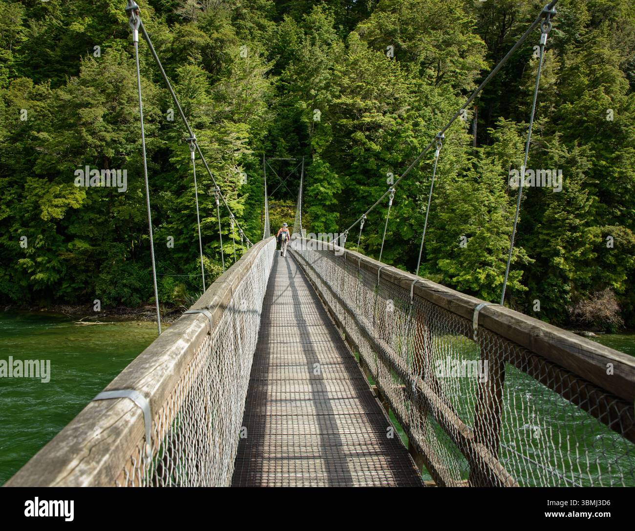 Man walking on Rainbow Reach suspension bridge. Kepler Track. Fiordland ...