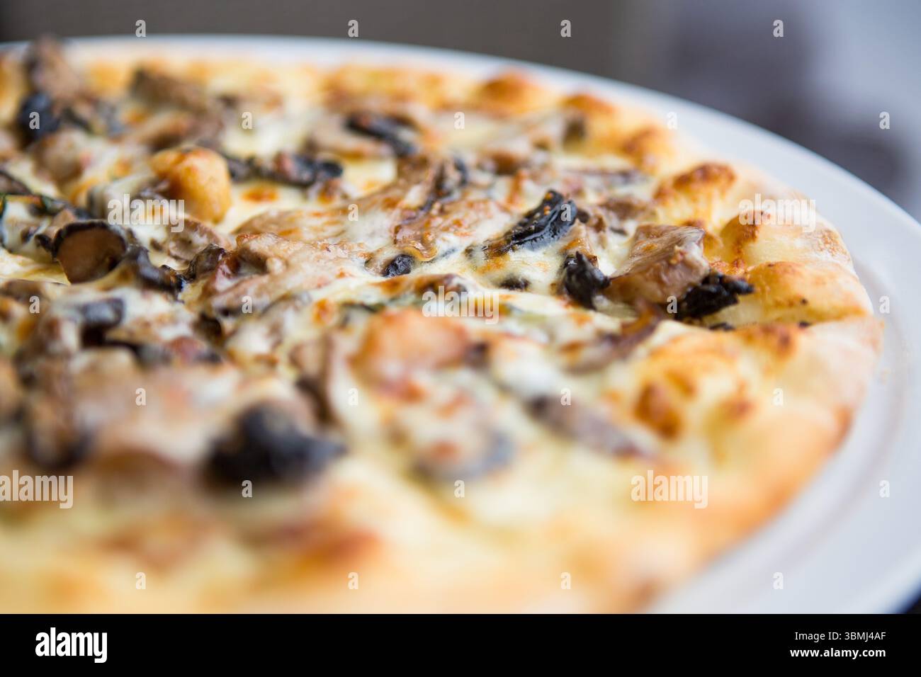 A beautifully presented gourmet pizza, showcasing a medley of mushrooms ...