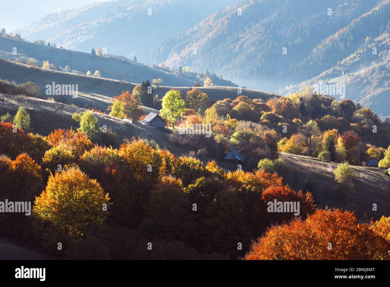 Autumn trees glow in sunrise light across misty hills with wooden ...