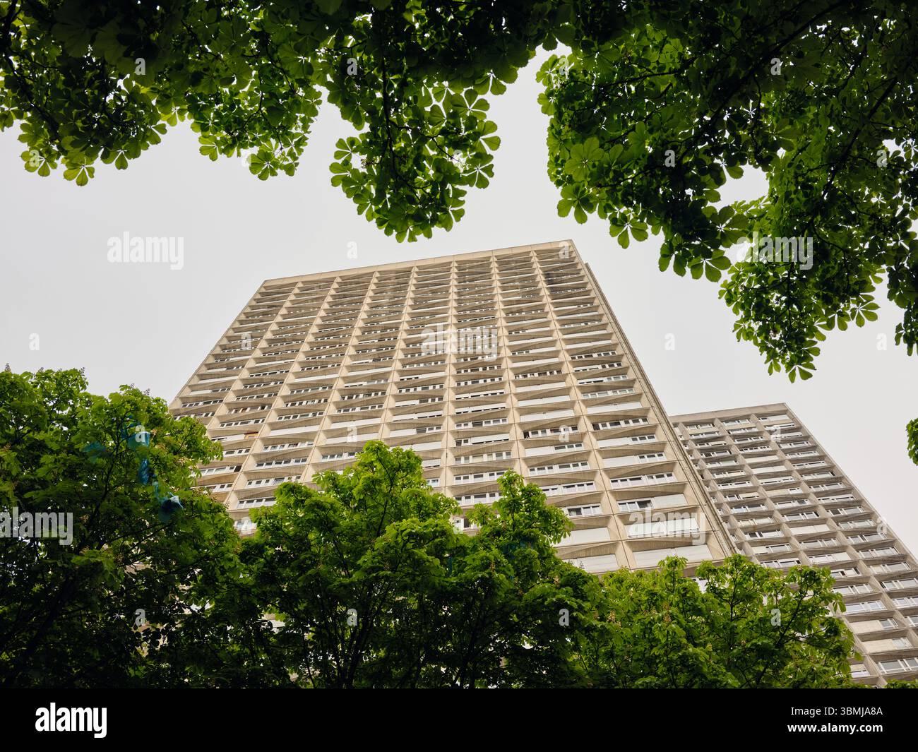Lush green trees rise hi-res stock photography and images - Alamy