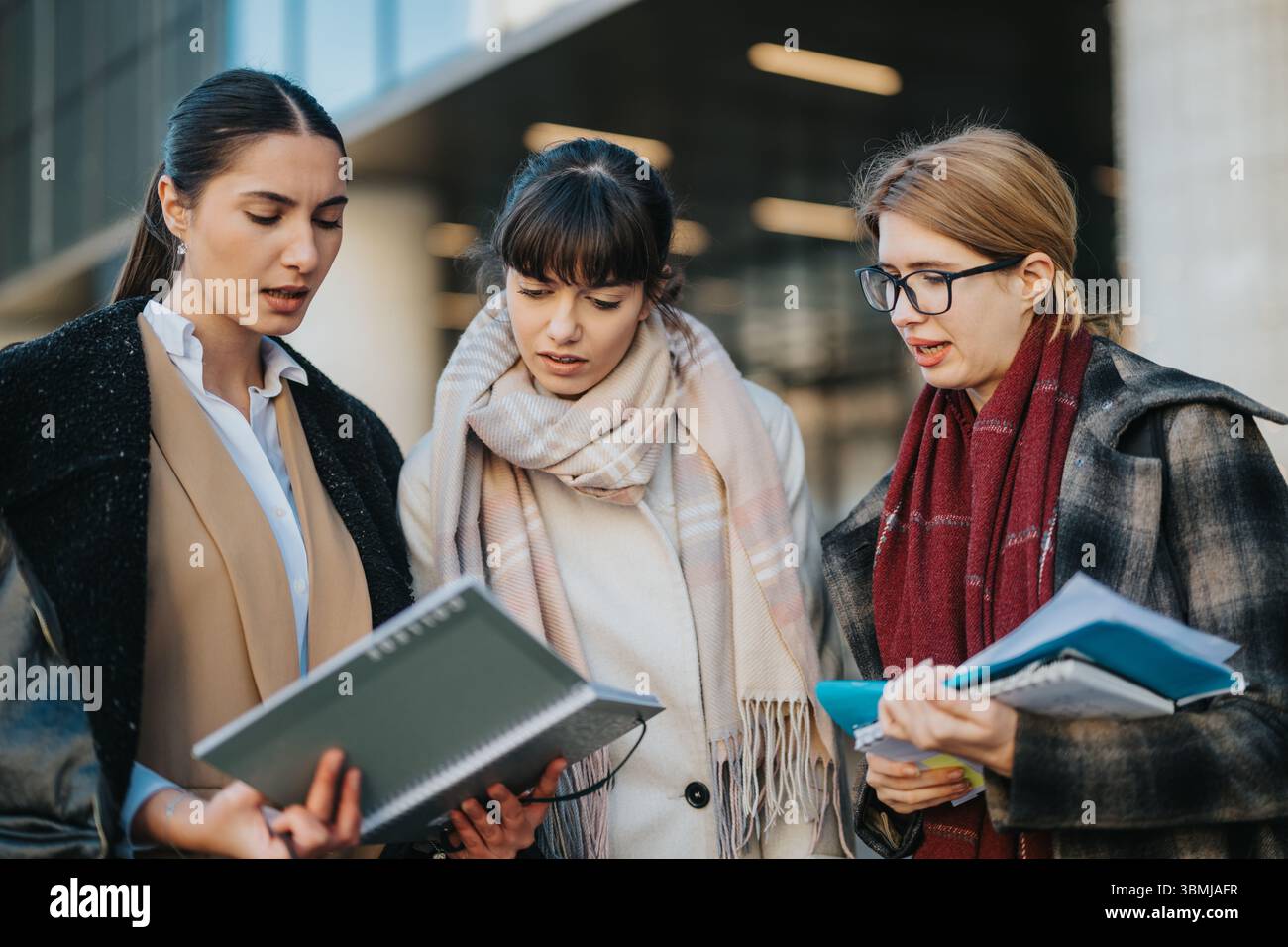 Three professional women collaborating and discussing documents ...