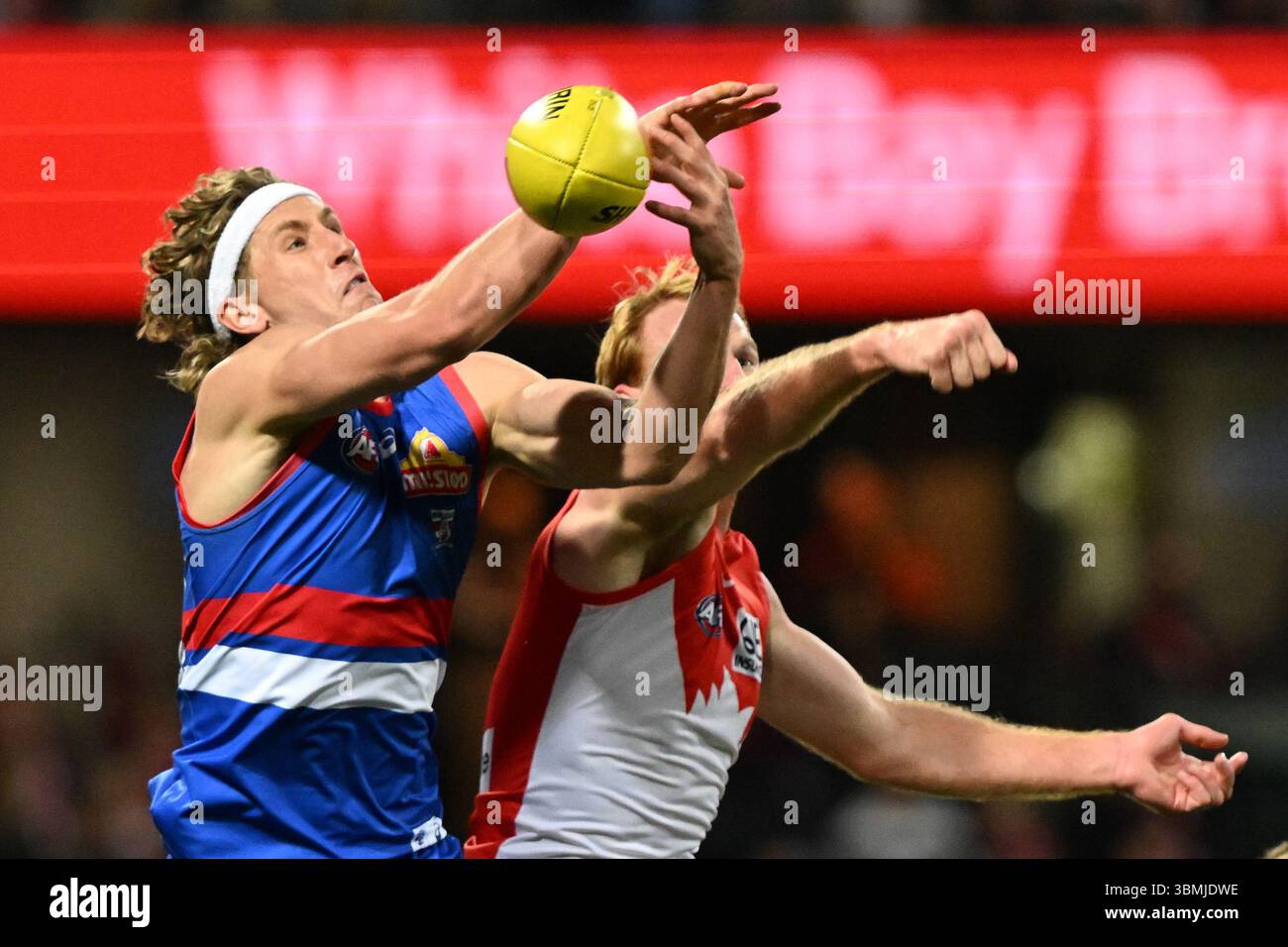 Aaron Naughton of the Bulldogs and Aaron Francis of the Swans during ...