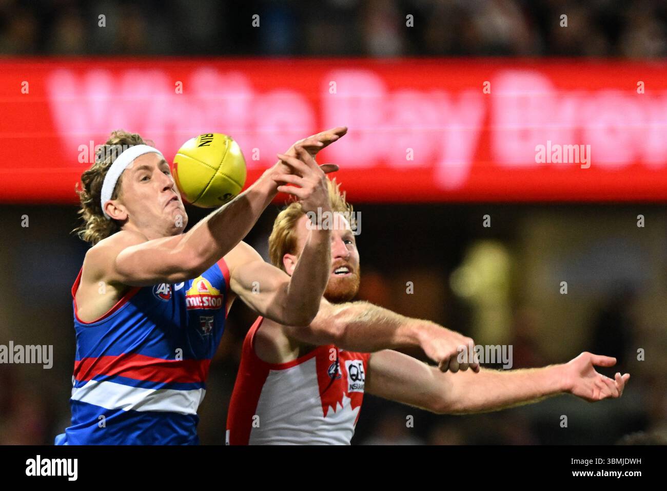 Aaron Naughton of the Bulldogs and Aaron Francis of the Swans during ...