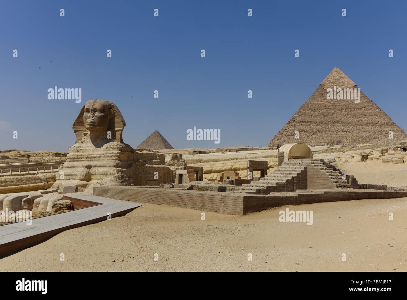 The Sphinx at Giza, Cairo, Egypt Stock Photo - Alamy