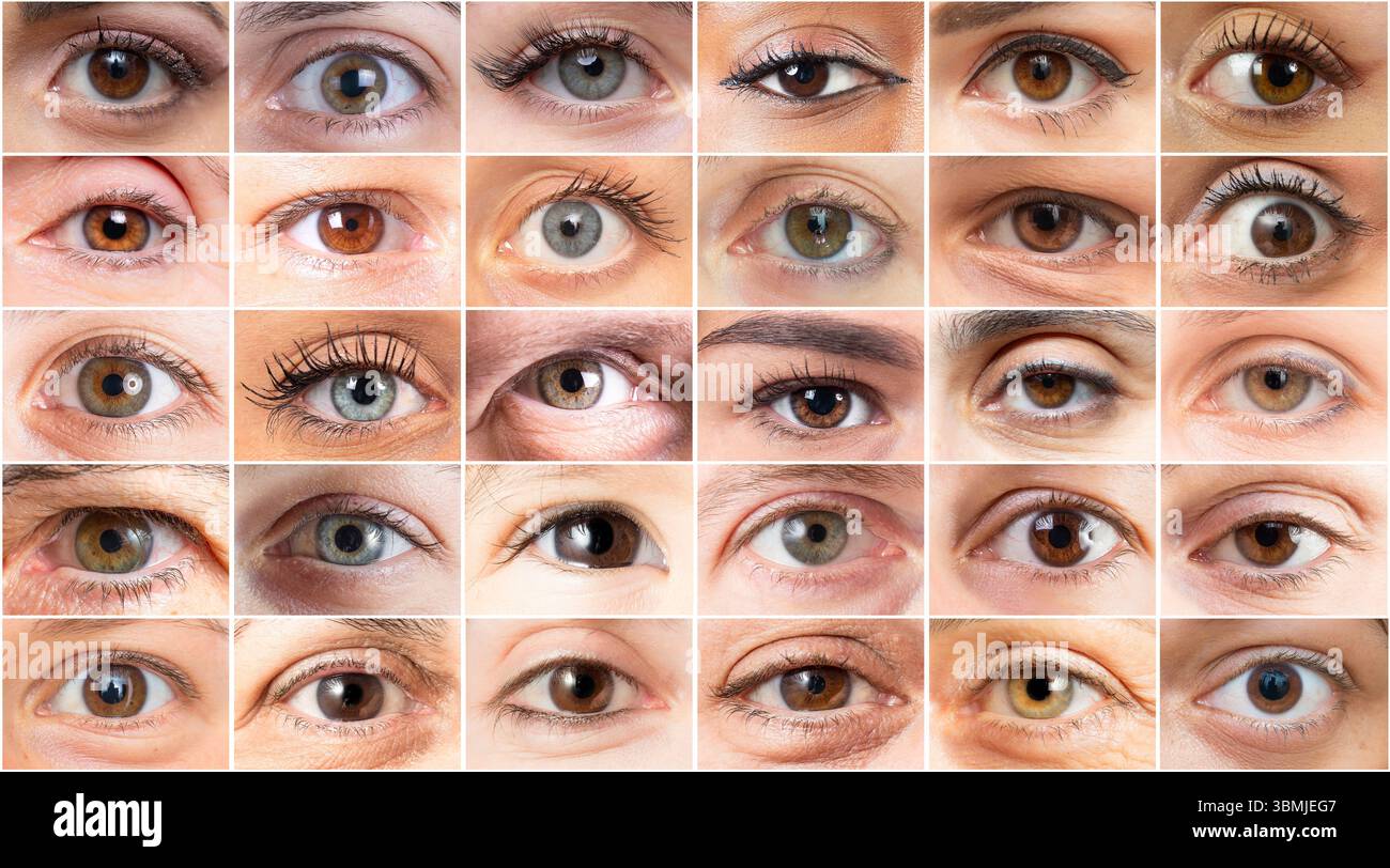 Variations in body shape hi-res stock photography and images - Alamy