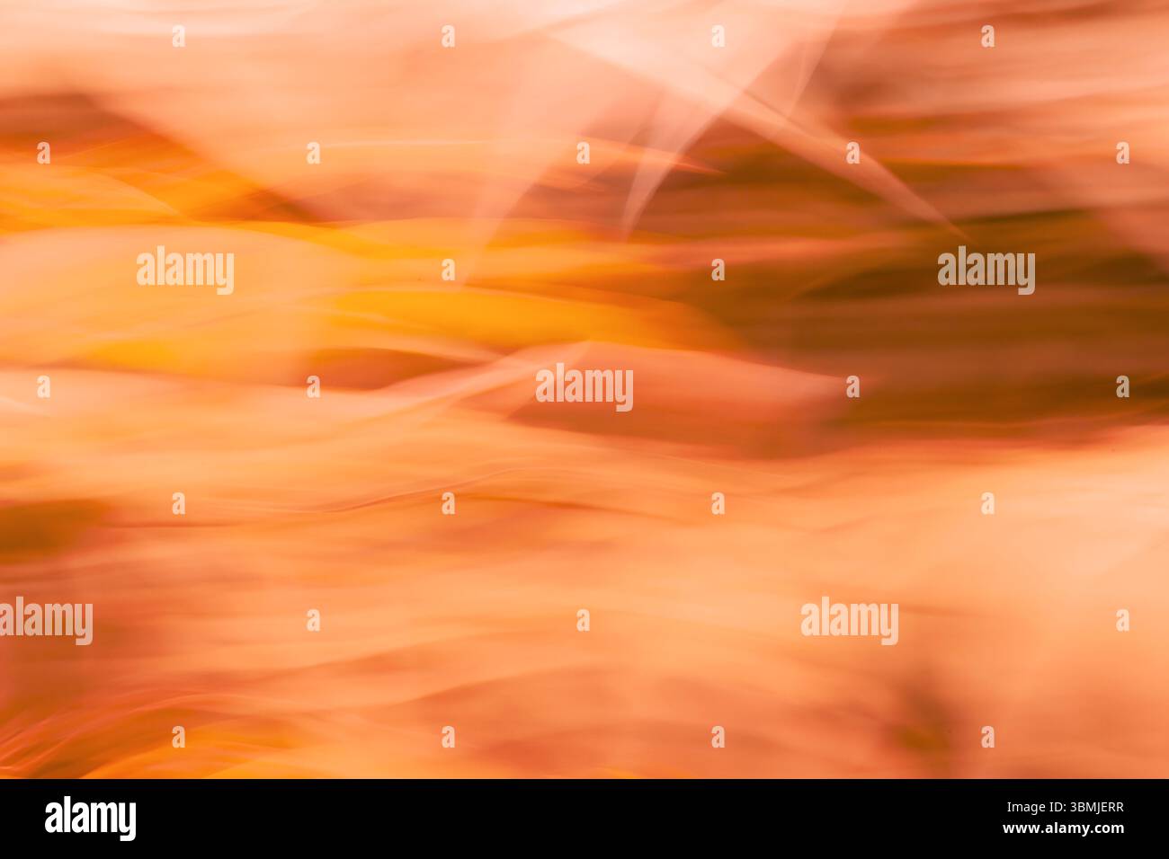 Abstract image using foliage hi-res stock photography and images - Alamy