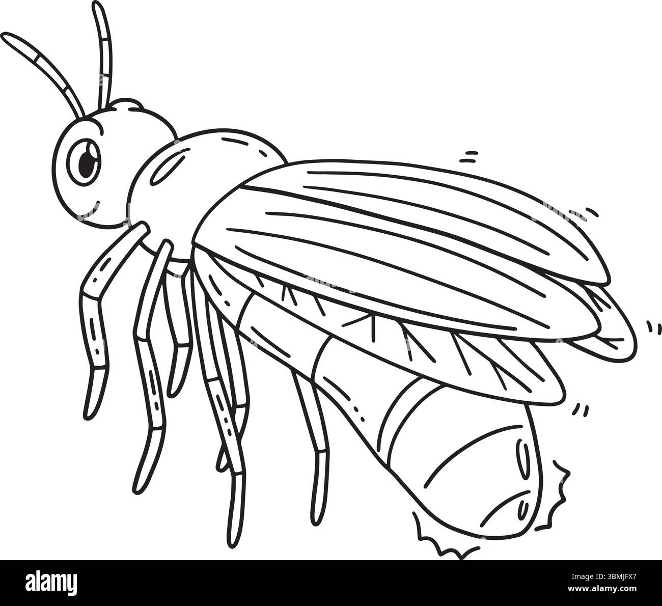 Forest Animal Firefly Isolated Coloring Page Stock Vector Image & Art ...