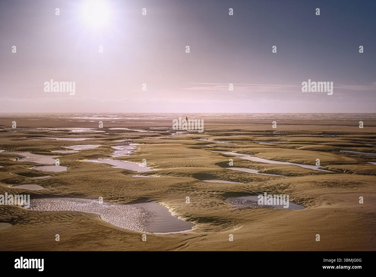 Sandy beach with tidal pools and person walking dog under morning sun ...