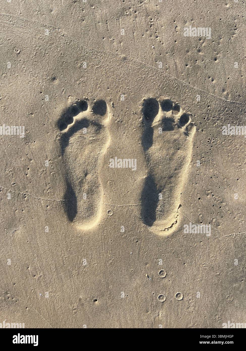 Raindrops on leaves beach hi-res stock photography and images - Alamy