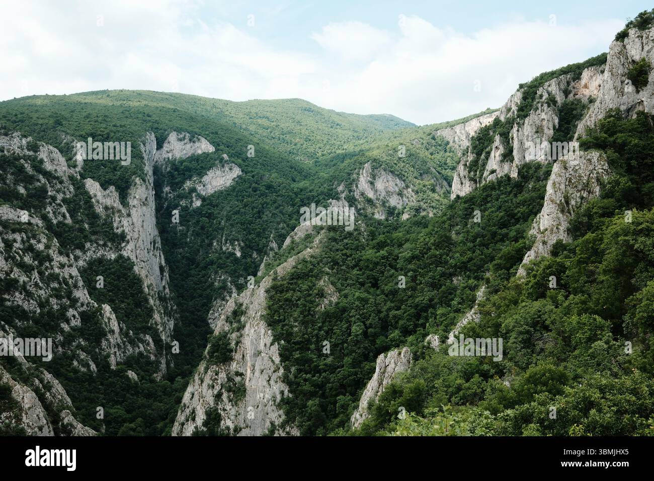Dramatic view of Lazarev Canyon cliffs in Serbia, covered with spring ...